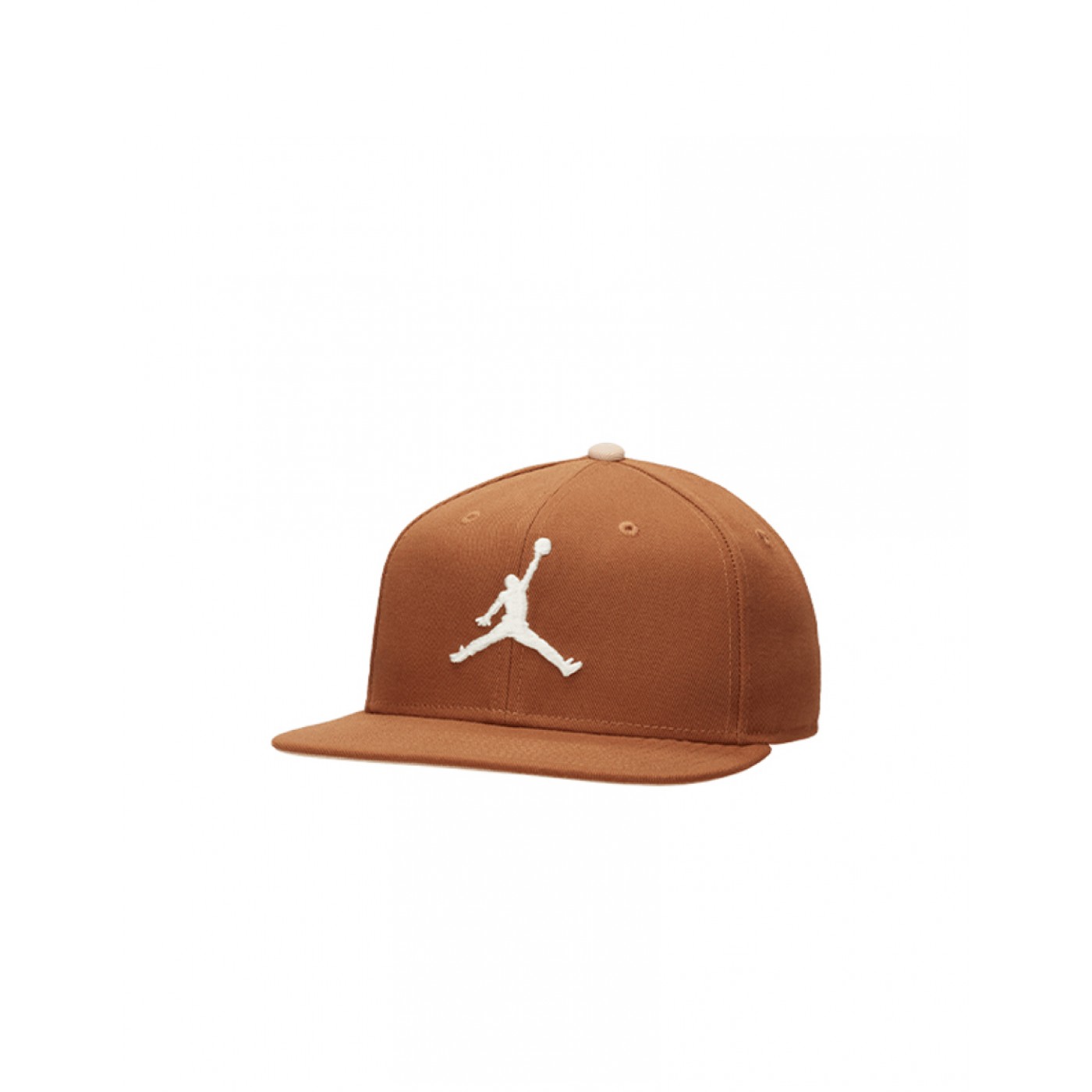 Jordan Pro Cap